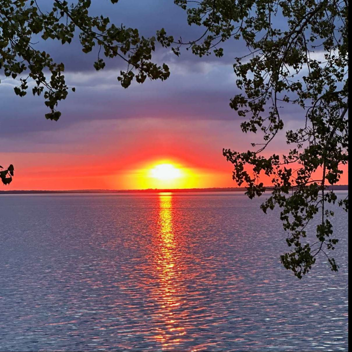 Leech Lake Cabins, Fishing & Boating: Federal Dam, MN: Sugar Point Resort